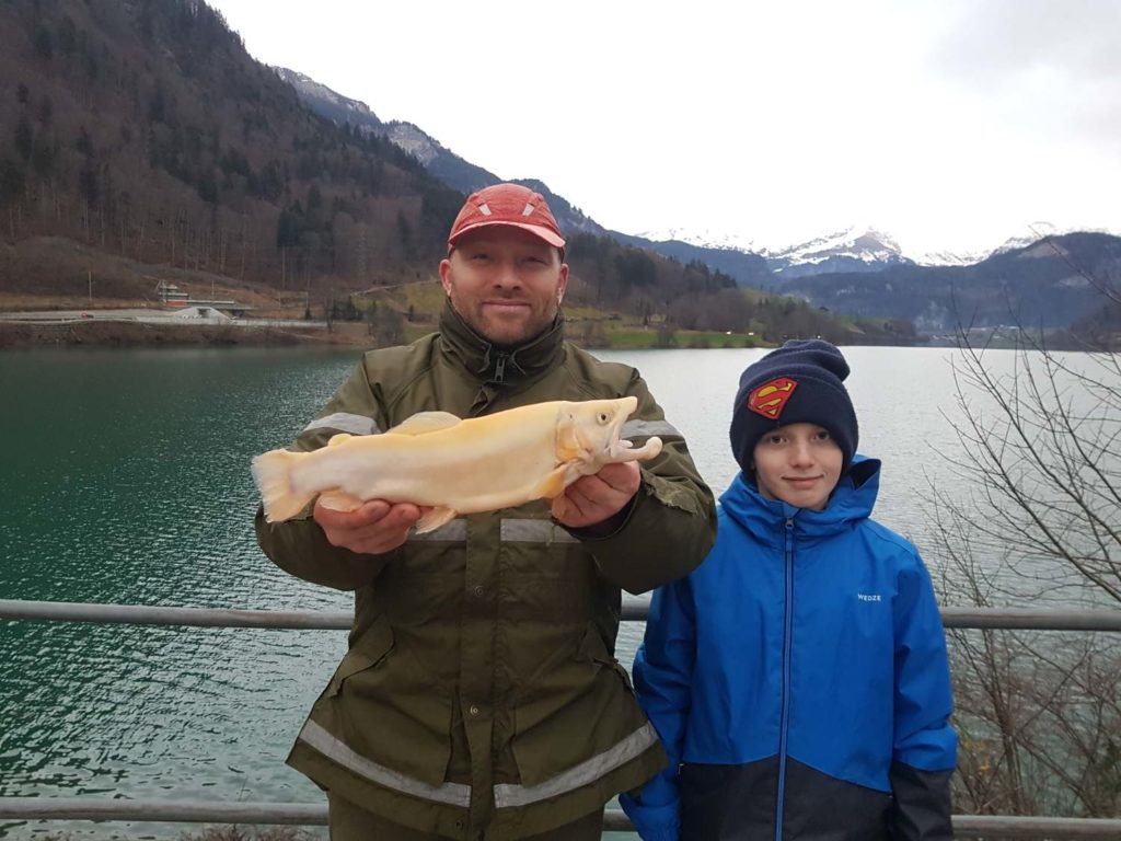 Fischliga – Fischerparadies Lungern